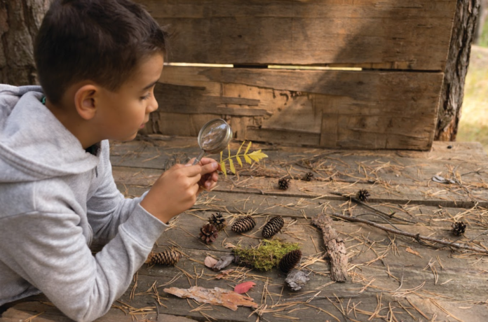 Outdoor learning in practice | SEN Magazine