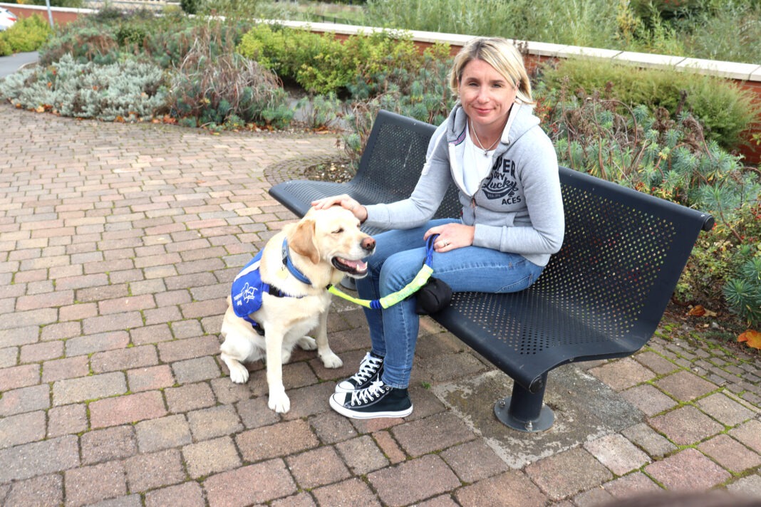 Seizure alert dogs | SEN Magazine